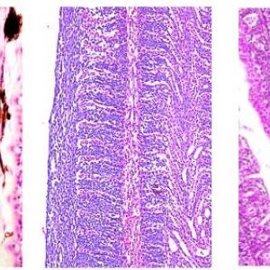 Workshops & Forums - EAFP 2025 Official website conference